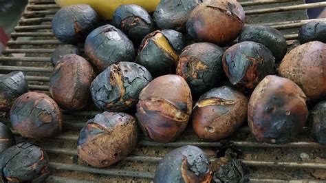 눈이 펑펑 내린 한겨울에 농막에서 능이백숙 먹기 좋은 날 Youtube