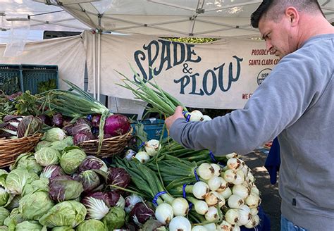 Spade And Plow Organics Mbcfm
