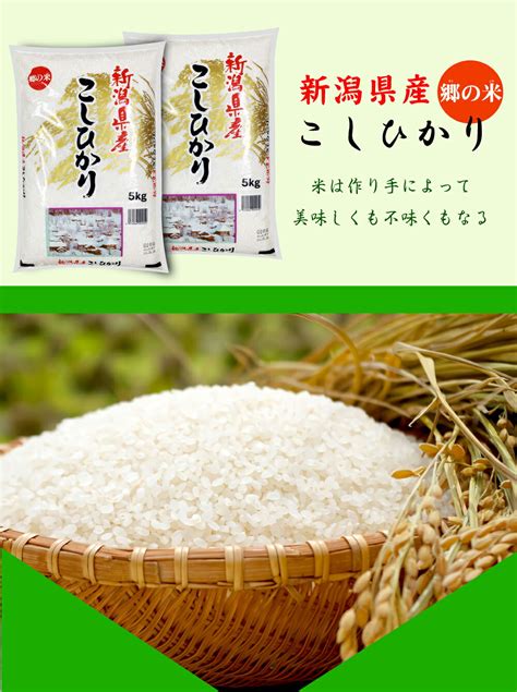 【楽天市場】令和6年産 新潟県産 コシヒカリ 10kg 5kgx2袋 米 こしひかり 新潟こしひかり 新潟米 美味しい米 おいしいお米