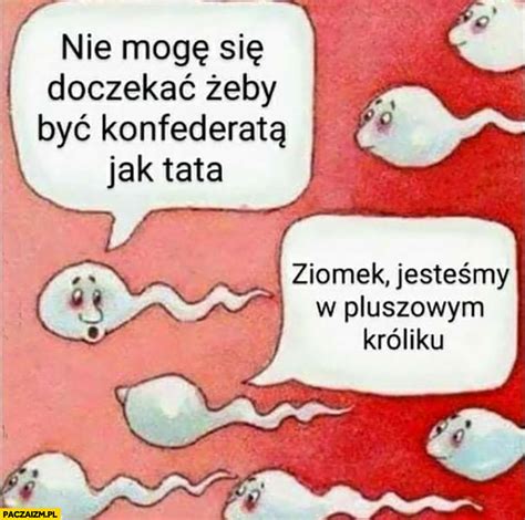 Nie mogę się doczekać żeby zostać Konfederatą jak tata ziomek jesteśmy
