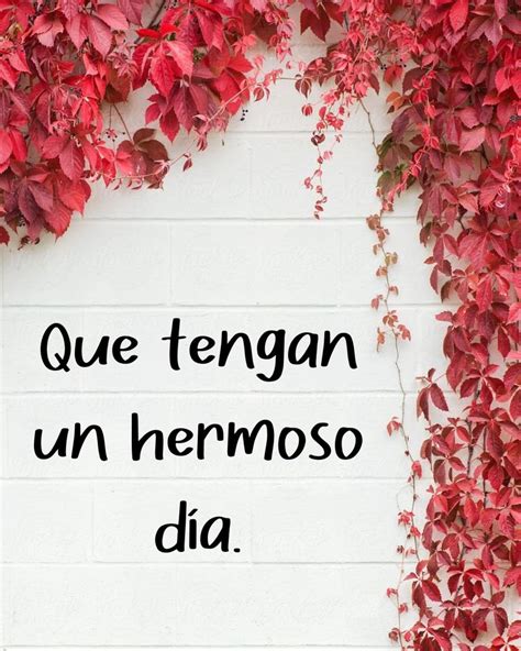 Que Tengas Un Hermoso Día Frasespw