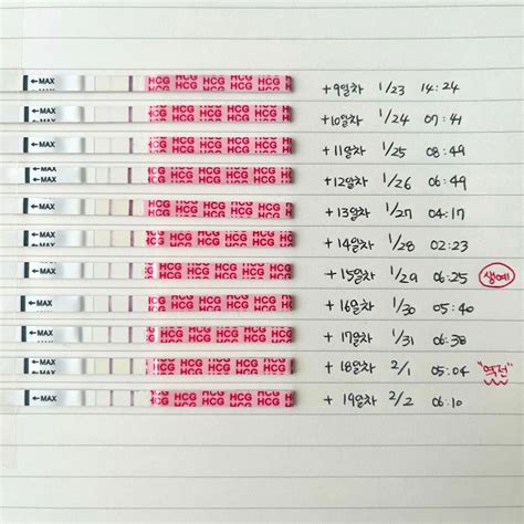 임신기록 3~4주차 임테기 역전 배란18일차 아기집 보러 다녀옴 ♡ 네이버 블로그