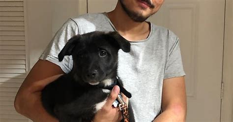 Indy Has Grown So Much In A Month Album On Imgur