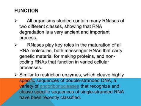 Nucleases Pptx