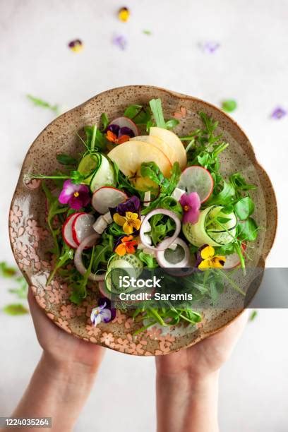 식용 꽃 야채 과일 마이크로 그린과 치즈와 맛있는 여름 샐러드 샐러드에 대한 스톡 사진 및 기타 이미지 샐러드 꽃 식물