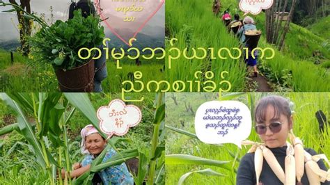 ပမ့တအီၣ်ဝံၣ်အီဆၢဘၣ်ဒ်ပှၤဝ့ၢ််ဖိသ့ၣ်တဖၣ်ဘၣ်ဆၣ်ပနံၤကမှံကဲခီဖျိလၢယွၤအတၢ််အဲၣ်တၢ််ဆိၣ်ဂ့ၤပှၤ Youtube
