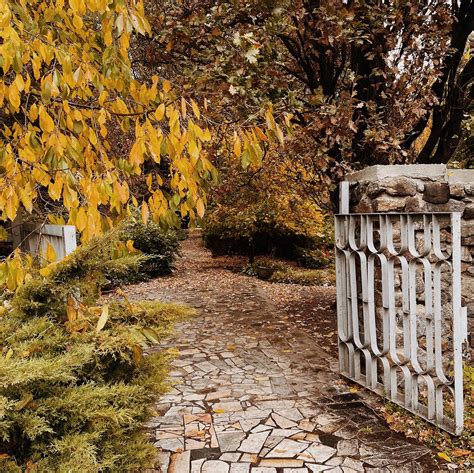 Ruslana Lubenets Ruslanalubenets • Instagram Photos And Videos