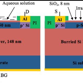 Si Nanowire Field Effect Transistor Structures Under Study Schematic