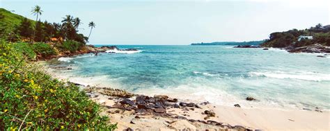 Галле Шри Ланка ️ горящие туры путевки отдых 2024 туроператор КОМПАС