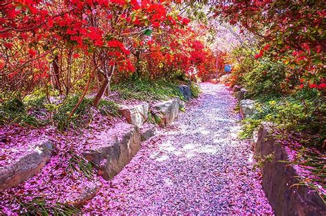 지금 가장 핫한 여행지 282만 명이 선택한 국내 여행지 그 이유는 여행을말하다