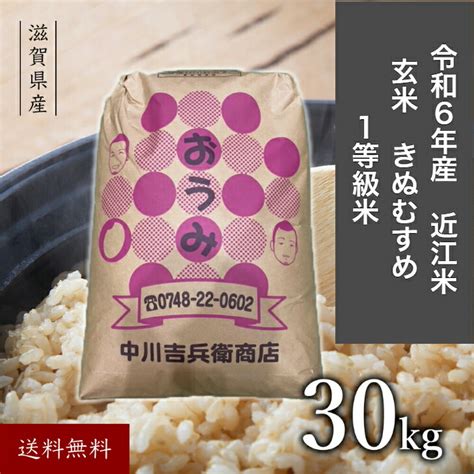 【楽天市場】新米 近江米 令和6年 玄米 30kg 滋賀県産 きぬむすめ 送料無料 令和6年産 玄米30キロ 高級玄米 おいしいお米 1等米