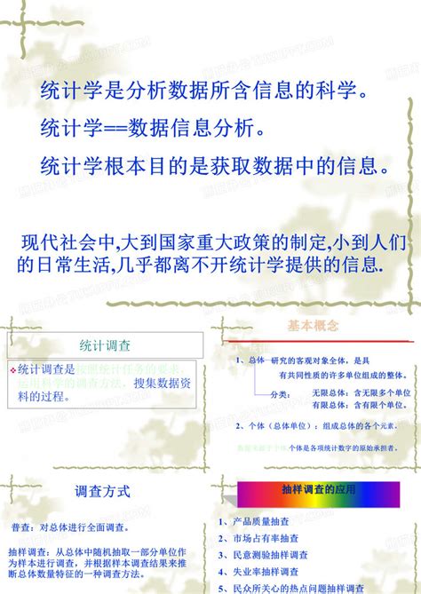 统计调查问卷案例PPT模板下载 编号qojpvyyy 熊猫办公