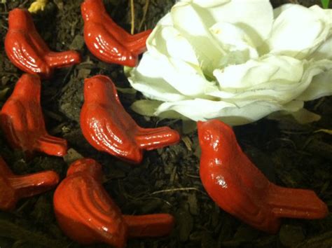 Drawer Pulls Drawer Knobs Bird Knobs Shabby Chic Knobs Etsy