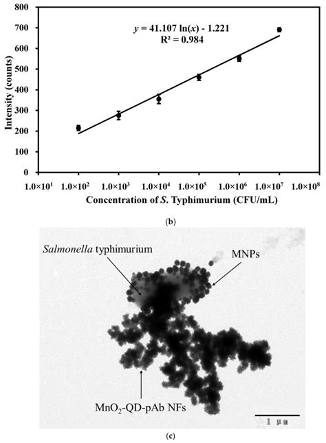 A Microfluidic Biosensor Based On Magnetic Nanoparticle Separation Quantum Dots Labeling And