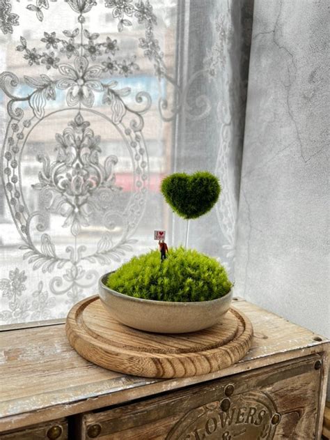 [ 부산 양산 김해 테라리움 러셔스 플라워 ] 사랑하는 마음을 담은 하트 이끼 키우기 하트 이끼 테라리움 만들기 네이버 블로그