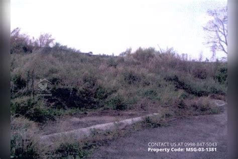 Msg 03 1381 Foreclosed Residential Lot In Palacio Real Subd Brgy