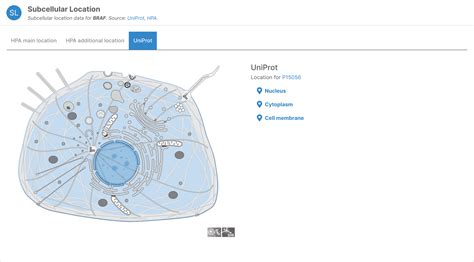 Open Targets Platform Has Been Released