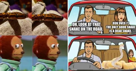 The 29 Funniest Snake Memes Ranked