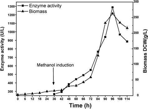 Timecourse Of High Density Fermentation Of P Download Scientific Diagram