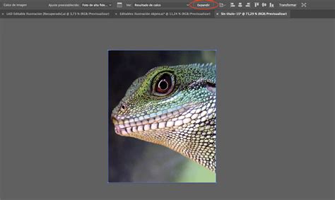Cómo Vectorizar Una Imagen Paso A Paso Esdesign