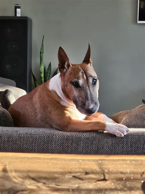 10 Years Today Heres My Best Girl Rcakeday