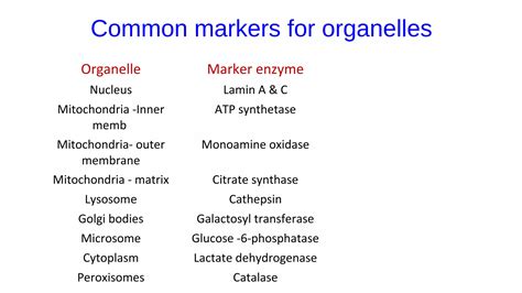Subcellular Fractionation Ppt