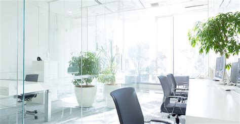 会社分割の効力発生日 行政書士わこう法務事務所