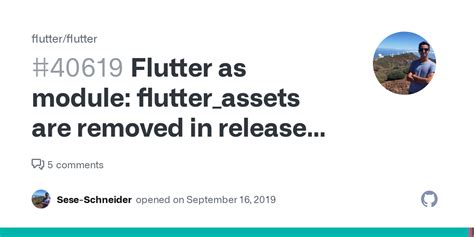 Flutter As Module Flutterassets Are Removed In Release Apk Bundle