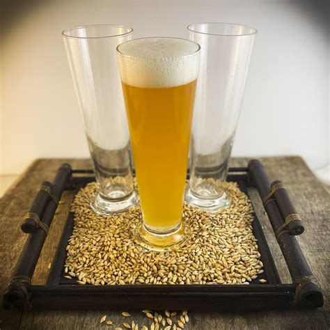 German Pilsner Glasses 330ml The Happy Brewery