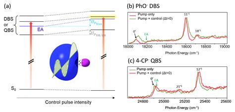 Observation Of The Ponderomotive Effect In Non Valence Bound States Of