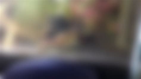 Crayfish Eating Algae Block Rfish