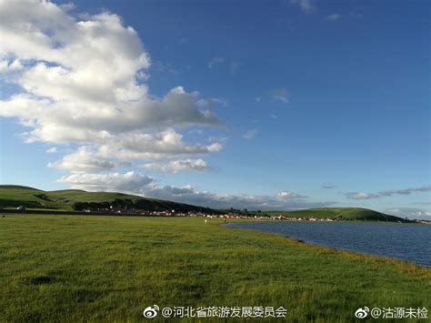 张家口沽源天鹅湖