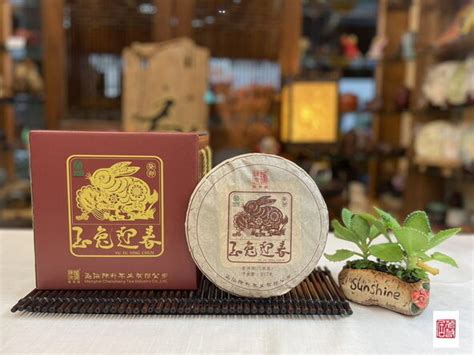 茗若居普洱茶 2023年陳升號【第二輪生肖】【兔年生肖紀念餅茶】【玉兔迎春】原生態大樹茶普洱熟茶餅357克 露天市集 全台最大