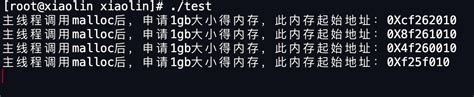 4 4 在 4gb 物理内存的机器上，申请 8g 内存会怎么样？ 小林coding java面试学习