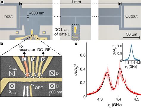 Hybrid Quantum Device And Vacuum Rabi Splitting A Optical Micrograph