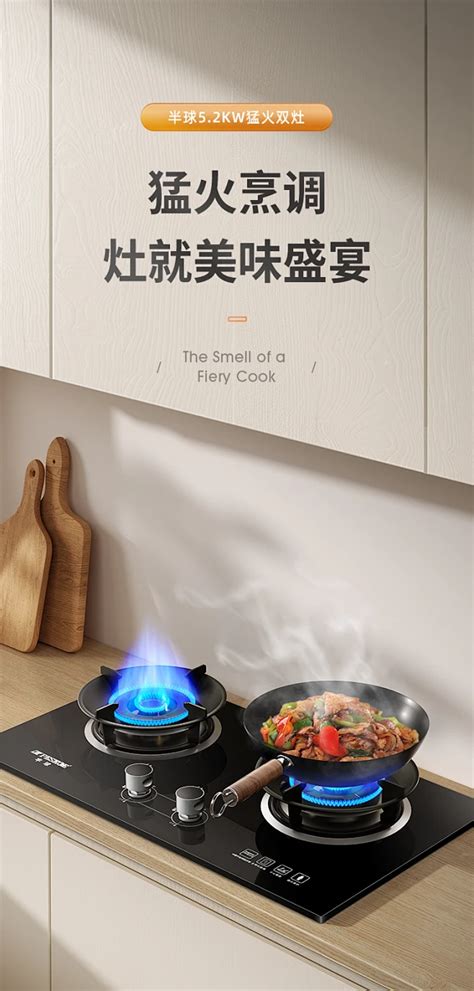 半球煤气灶家用双灶天燃气灶嵌入式台式液化气灶天然气猛火炉灶具 天猫 花瓣网
