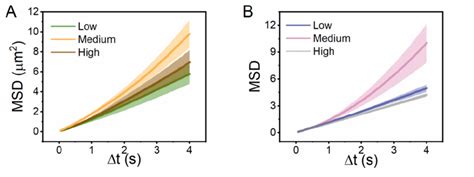 Figure S9 MSD Curves Of MCAT Coacervates A And MUR Coacervates B