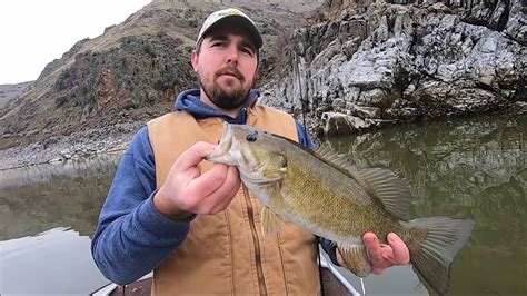 Small Mouth Bass Fishing With A Surprise Catch Youtube