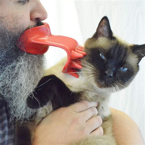 This Tongue Cat Brush Lets You Safely Lick Your Cat While Brushing Them