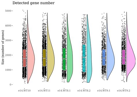 Cotan Datasets Analysis E145 Mouse Cortex Loo 2019