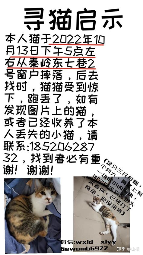 求助！！！我家猫不见了！！寻猫启事 知乎