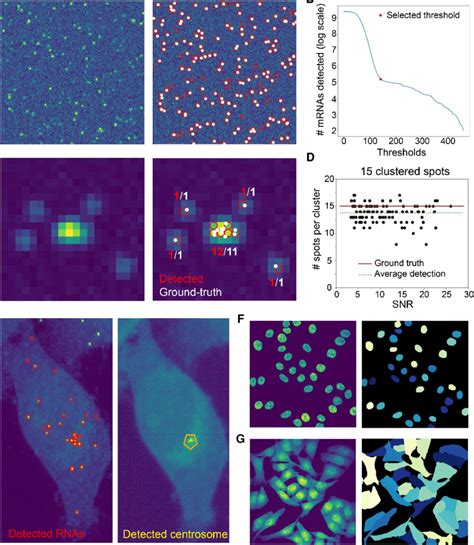A Automated Spot Detection Simulated Image Left And Detection Download Scientific Diagram