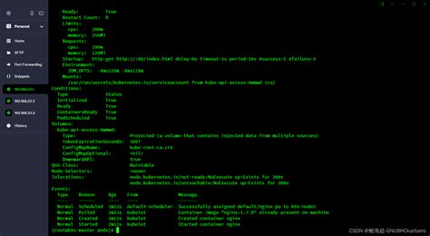 Linux：kubernetes（k8s）探针startupprobe的使用（8）startupprobe Csdn博客