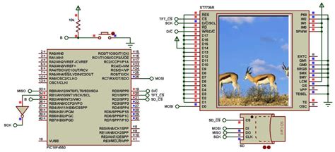 Sd Card And St7735r Tft Proteus Simulation With Pic Mcu