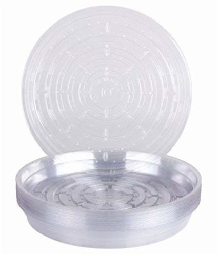 Cwp Round Clear Vinyl Plant Saucer 10 Pack 1 King Soopers