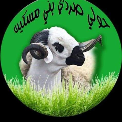 الحولي صردي لحر لبروج عن أب وجد بني مسكين