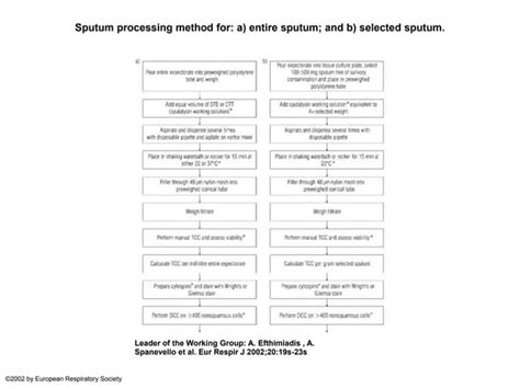 Sputum Processing Methods And Outcomes In Sputum Eosinophils Ppt
