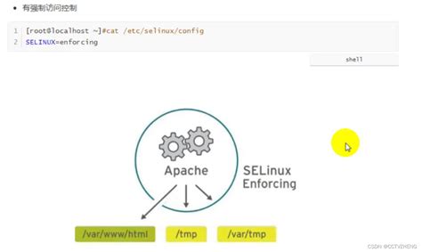 Selinux：强制访问控制与网络安全 Csdn博客