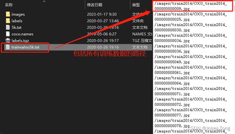 Yolov3 Pytorch版本代码解读