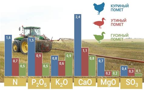 Птичий помет как удобрение (голубиный, гусиный, перепелиный, утиный ...